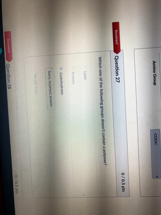 Solved lege.instructure.com/courses/1534222/quizzes/3225577 | Chegg.com