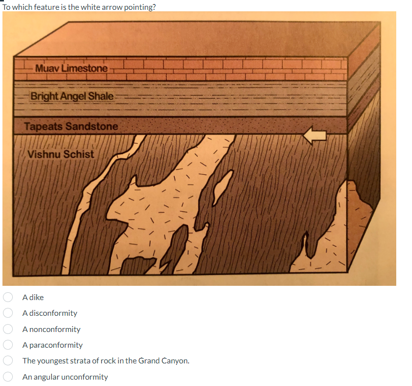Solved To which feature is the white arrow pointing? Adike A | Chegg.com