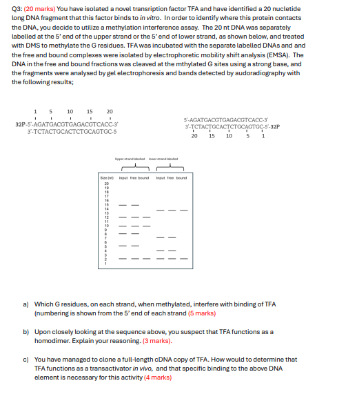 Solved Q3: (20 ﻿marks) ﻿You have isolated a novel | Chegg.com