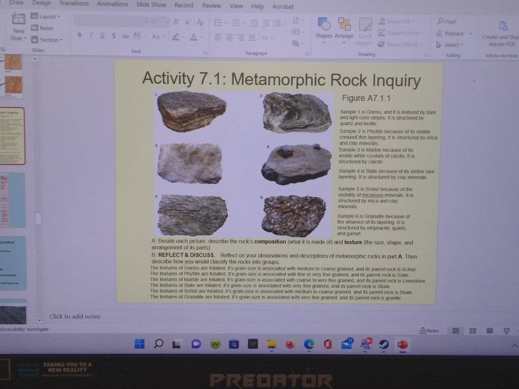 Solved Draw Design Transitions Animations Slide Show Record | Chegg.com