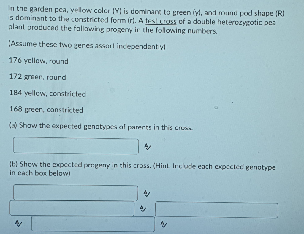 Solved In the garden pea yellow color is dominant to green | Chegg.com