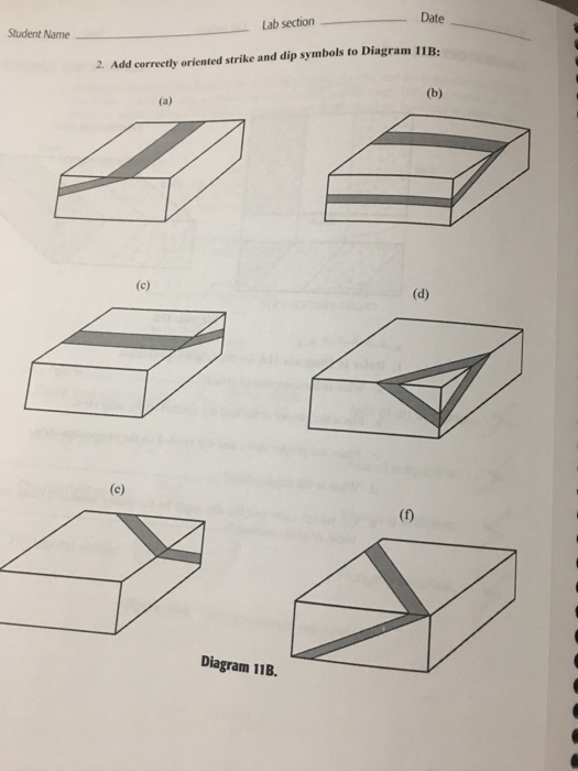 Solved sudent Name Lab section Date 2. Add correctly | Chegg.com Solved sudent Name Lab section Date 2. Add correctly | Chegg.com