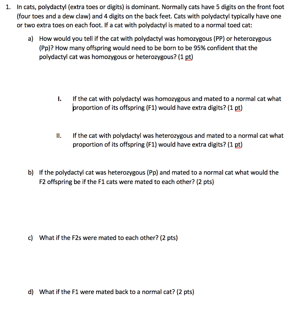 Solved In cats, polydactyl (extra toes or digits) is | Chegg.com