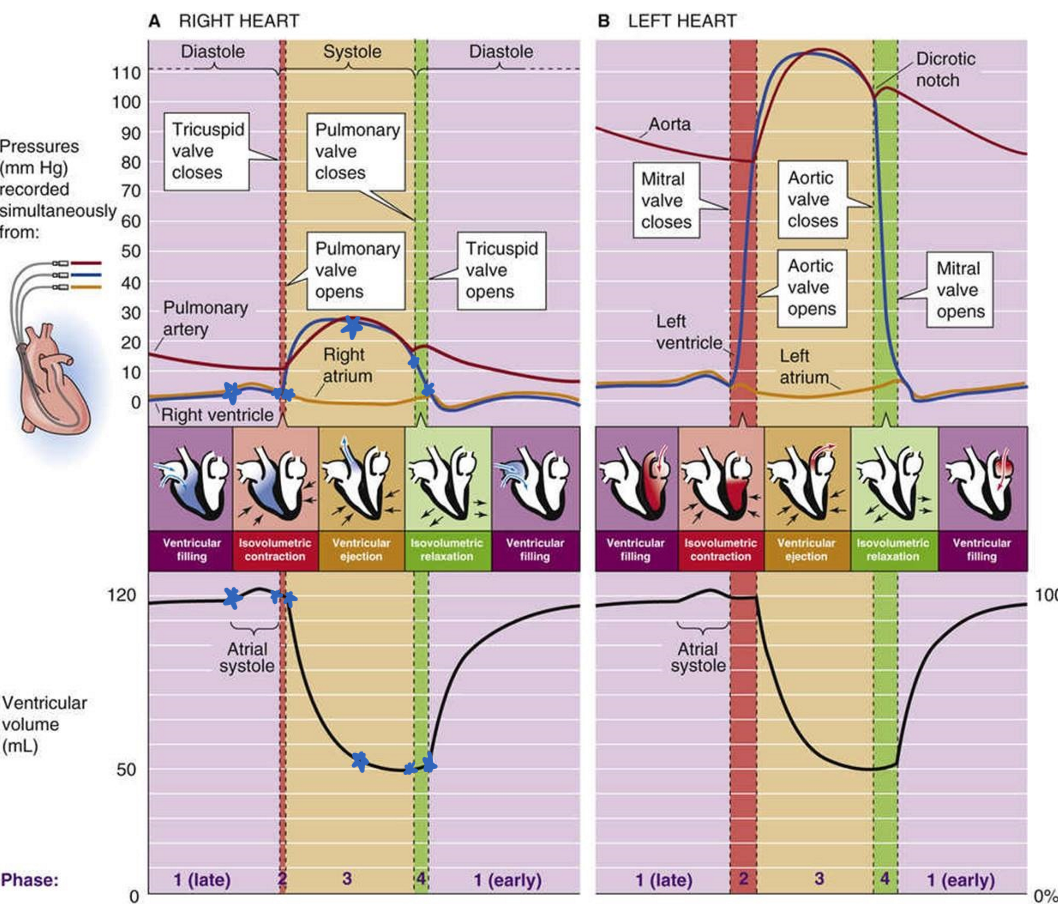 Create a Pressure vs. Volume TABLE and DRAW the PV | Chegg.com