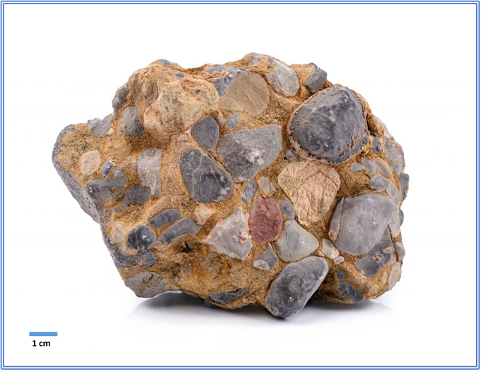 Solved Sample 1: the figure above is a thin section of | Chegg.com