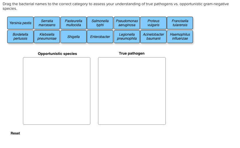 Solved Drag the bacterial names to the correct category to | Chegg.com