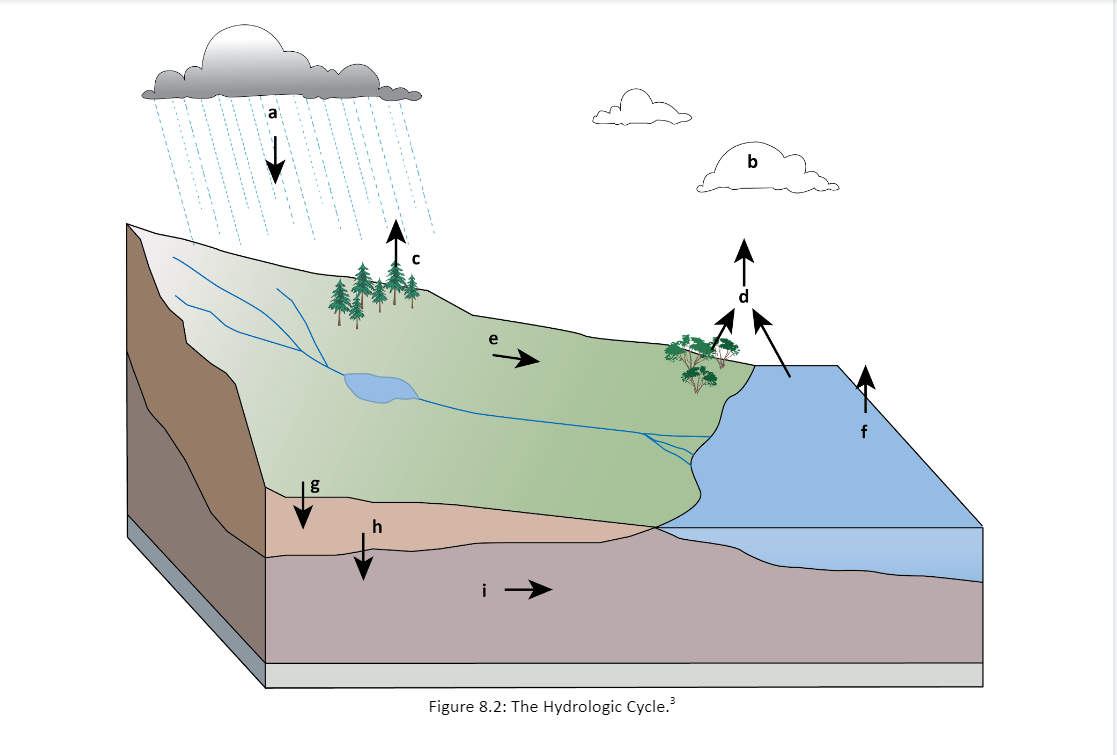 Solved Water cycles through Earth in something called the | Chegg.com