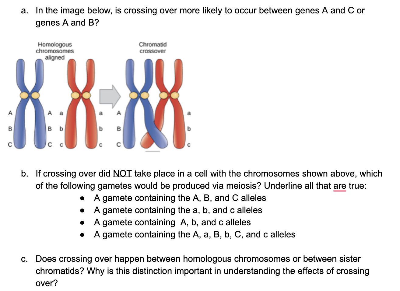 Solved a. In the image below, is crossing over more likely | Chegg.com