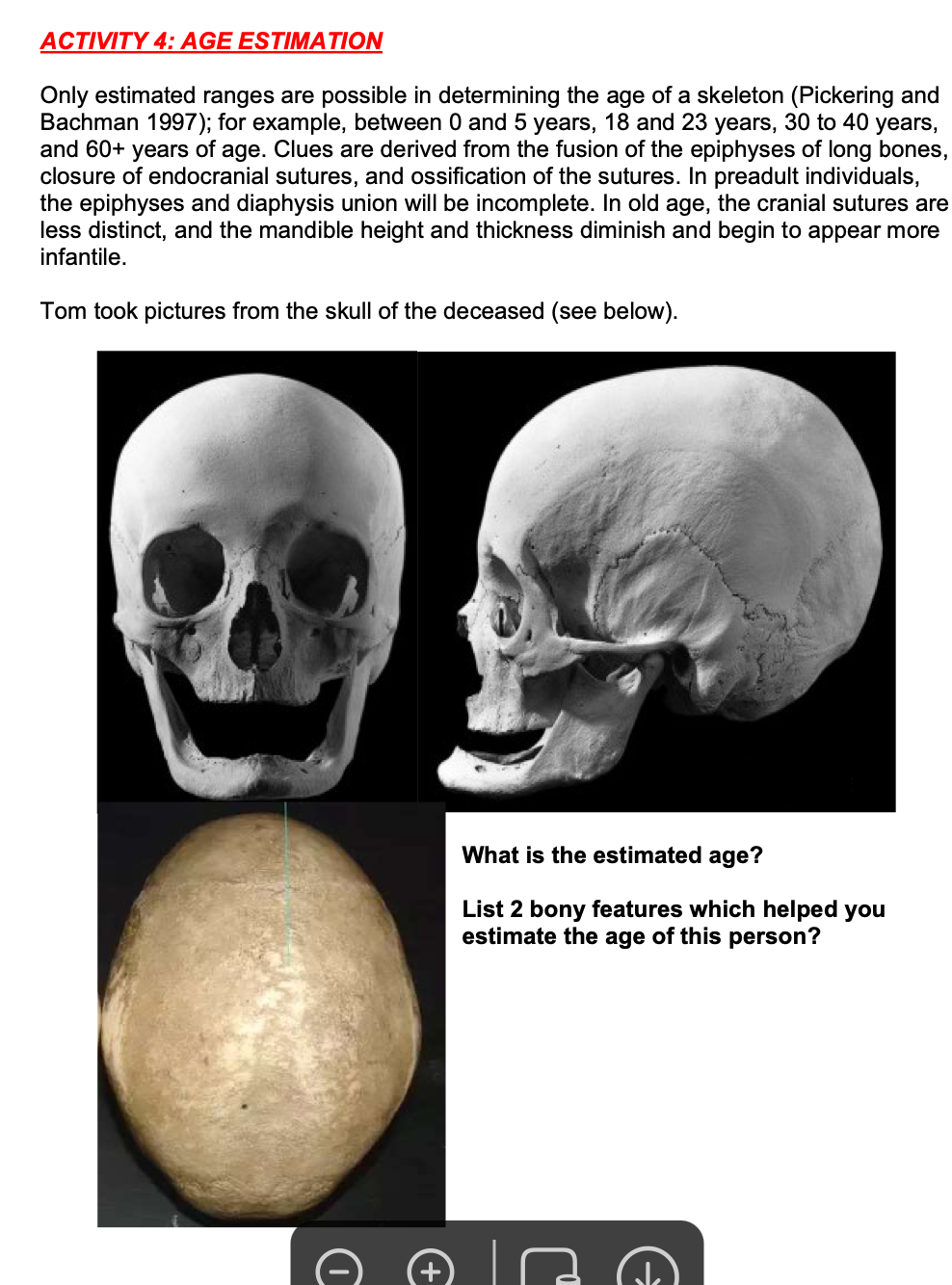 Solved ACTIVITY 4: AGE ESTIMATION Only estimated ranges are | Chegg.com