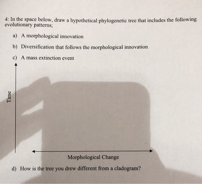4: In the space below, draw a hypothetical | Chegg.com