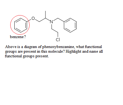 Solved benzene? Cl Above is a diagram of phenoxybenzamine, | Chegg.com