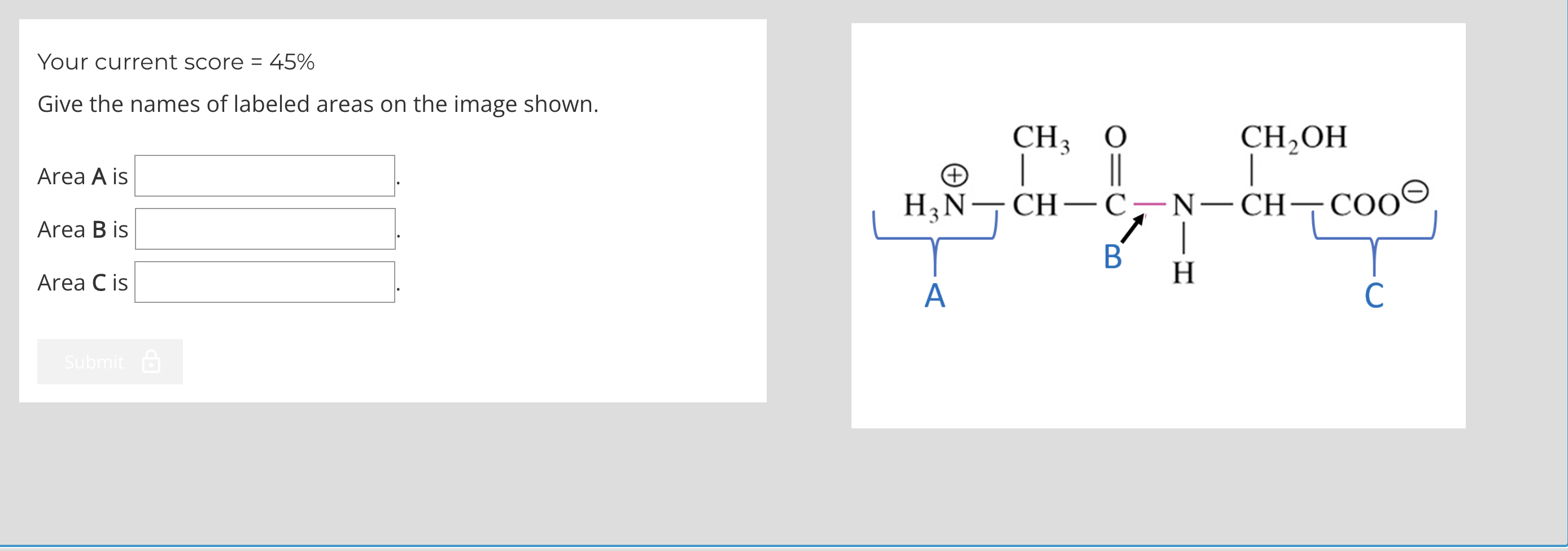 Solved Your current score =45% Give the names of labeled | Chegg.com