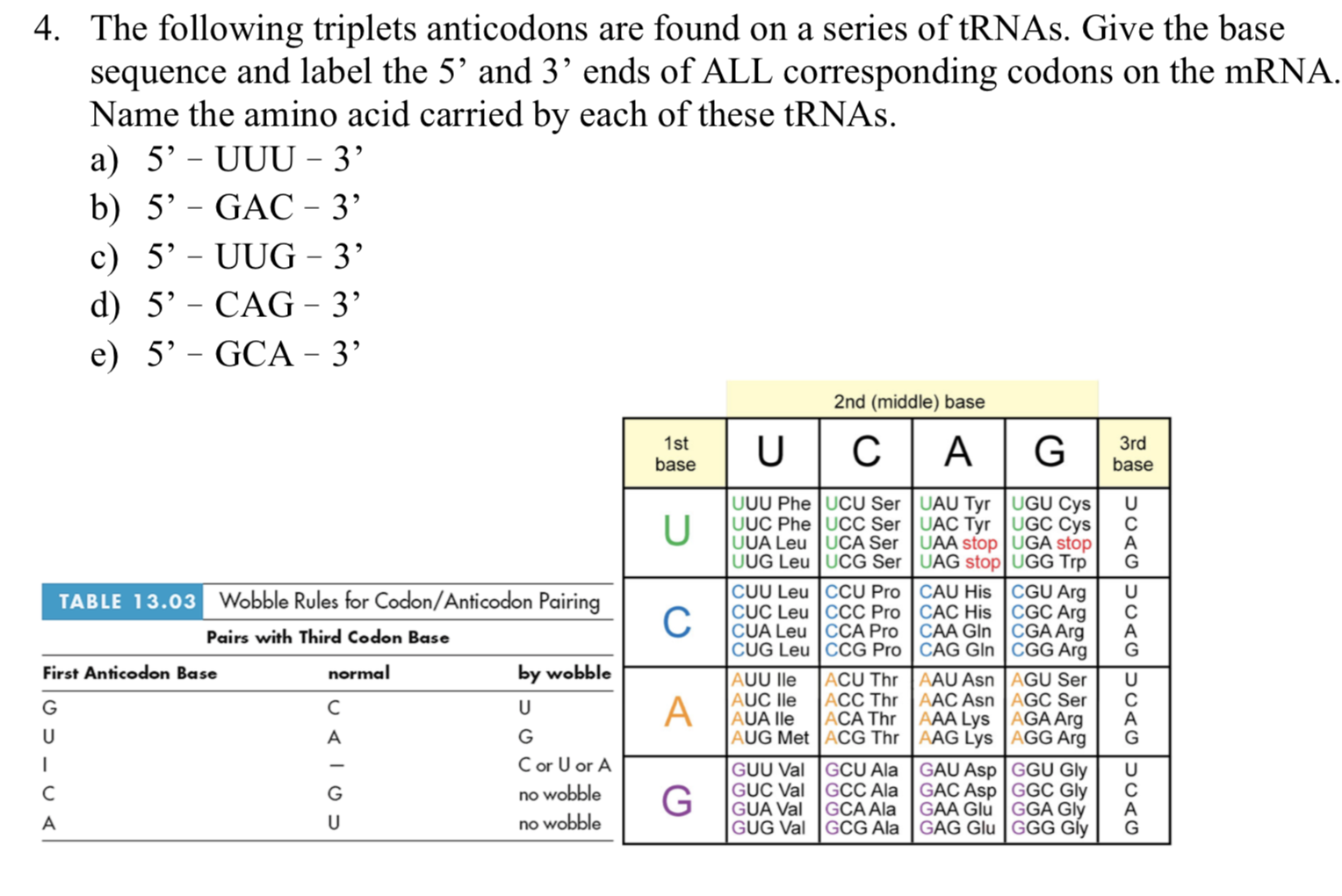 Solved 4. The following triplets anticodons are found on a | Chegg.com