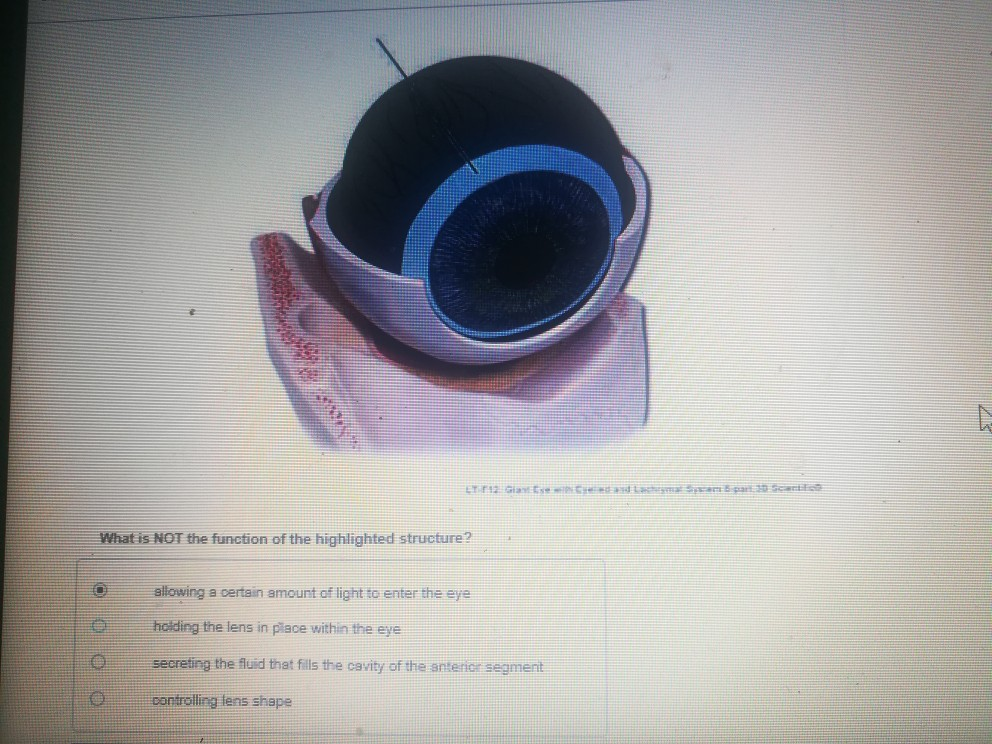 Solved En tante para What is NOT the function of the | Chegg.com