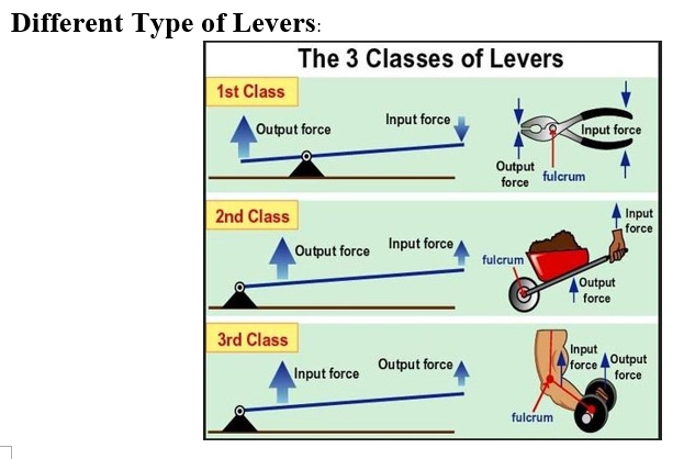 Solved The Fulcrum - is the fixed point of the lever, the | Chegg.com