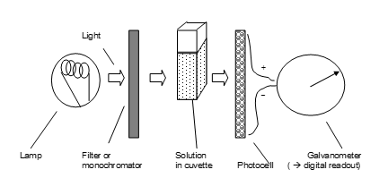 Solved In your experiment, the Biuret test was used | Chegg.com
