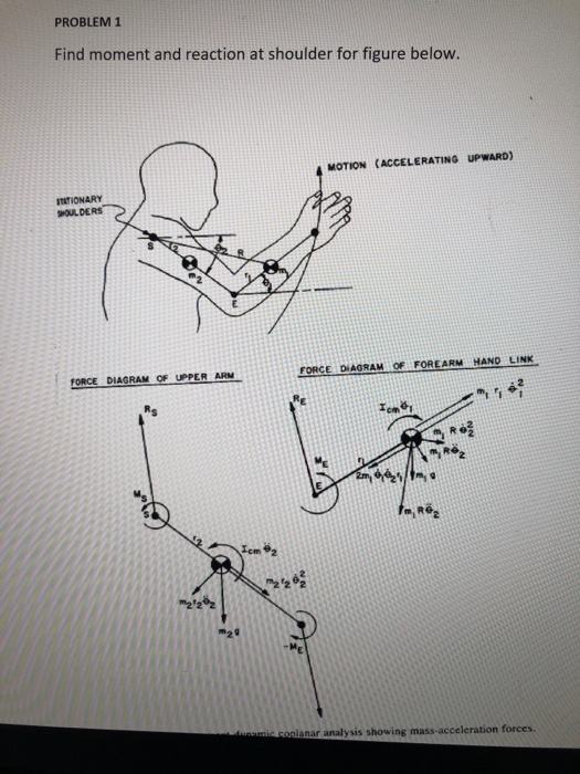 Solved PROBLEM1 Find moment and reaction at shoulder for | Chegg.com
