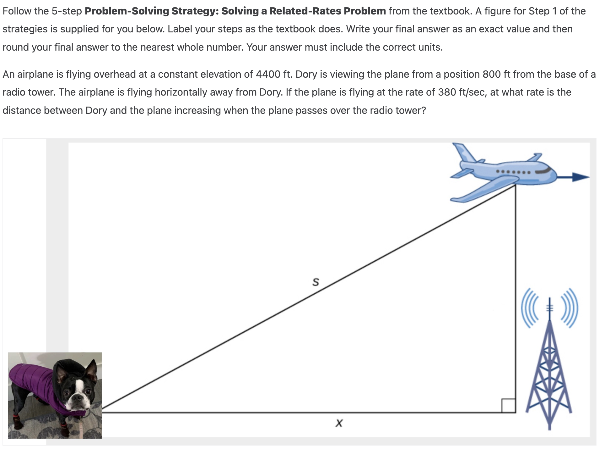 Solved Follow the 5-step Problem-Solving Strategy: Solving a | Chegg.com