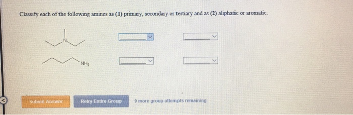 Solved Classify each of the following amines as (1) primary, | Chegg.com