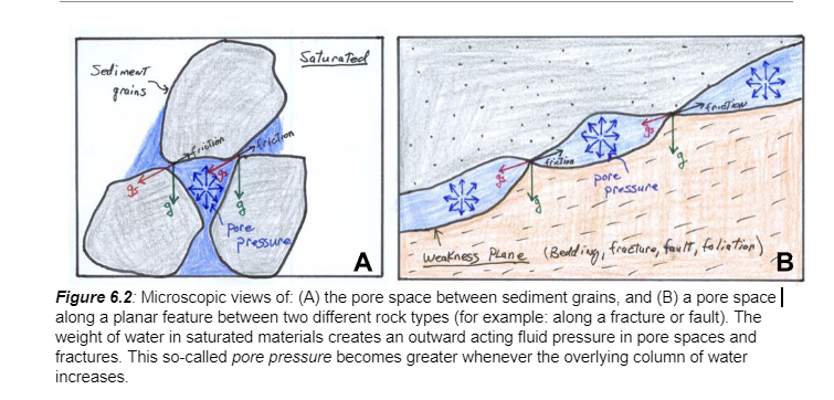 Solved Figure 6.2: Microscopic views of: (A) the pore | Chegg.com