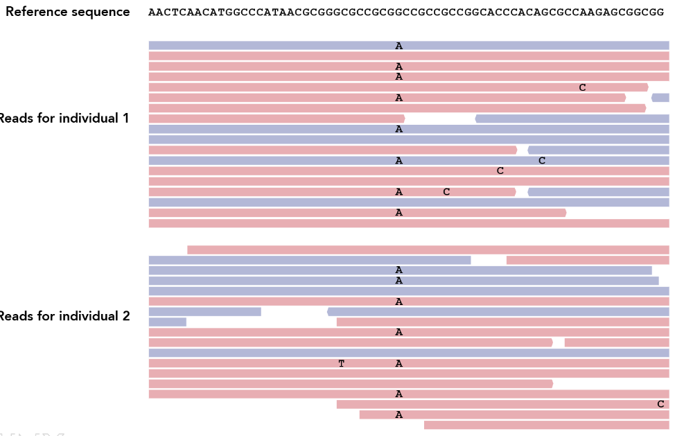 Solved Reference sequence | Chegg.com