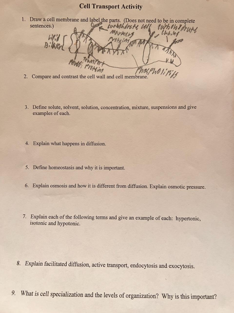 Solved Cell Transport Activity 1. Draw a cell membrane and | Chegg.com