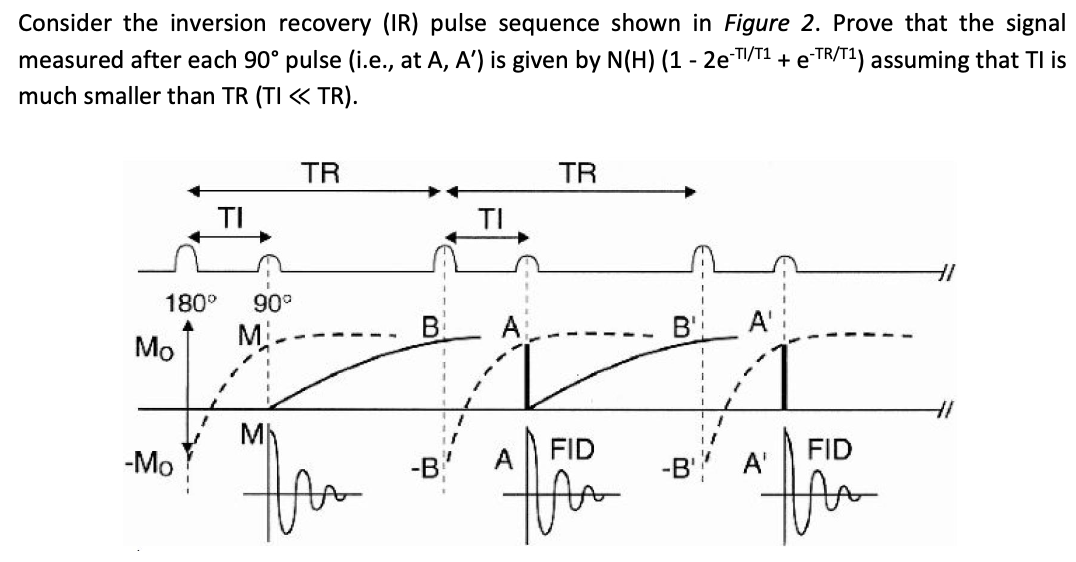 Solved Consider the inversion recovery (IR) pulse sequence | Chegg.com