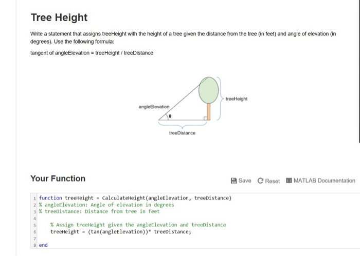 (Solved) : Tree Height Write Statement Assigns Treeheight Height Tree ... (Solved) : Tree Height Write Statement Assigns Treeheight Height Tree ...