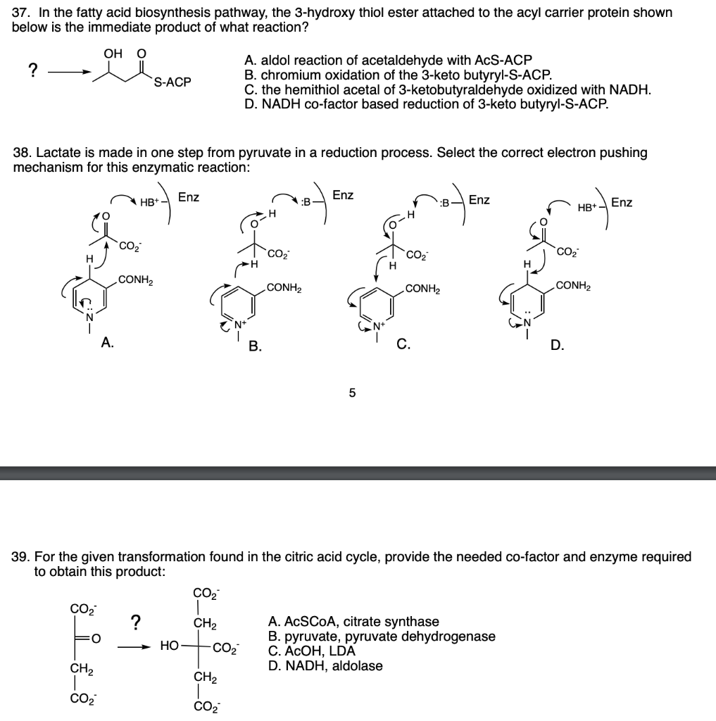 Solved 37. In the fatty acid biosynthesis pathway, the | Chegg.com