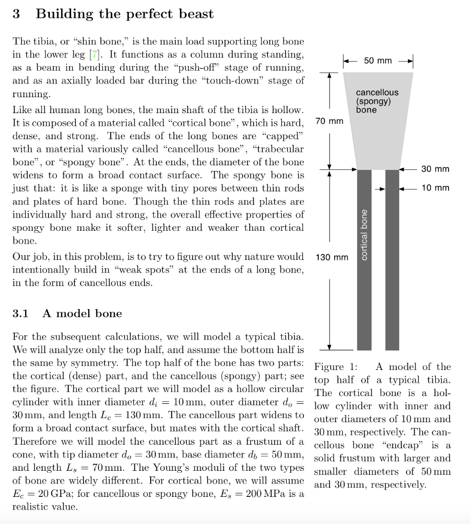 3 Building the perfect beast 50 mm cancellous | Chegg.com