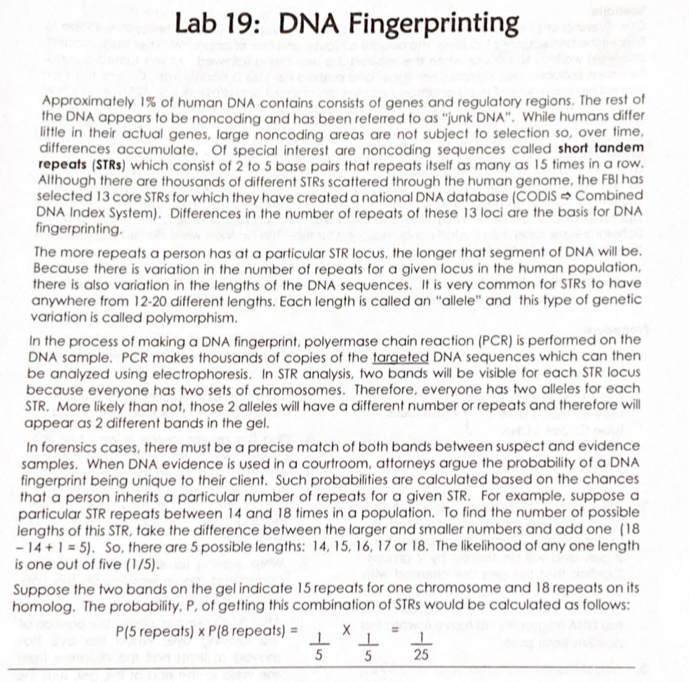 Lab 19: DNA Fingerprinting Approximately 1% of human | Chegg.com