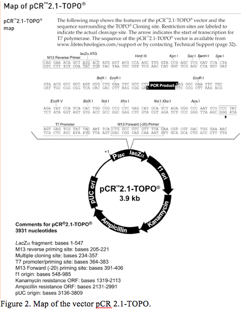 Solved The couple decide to have an amniocentesis for | Chegg.com