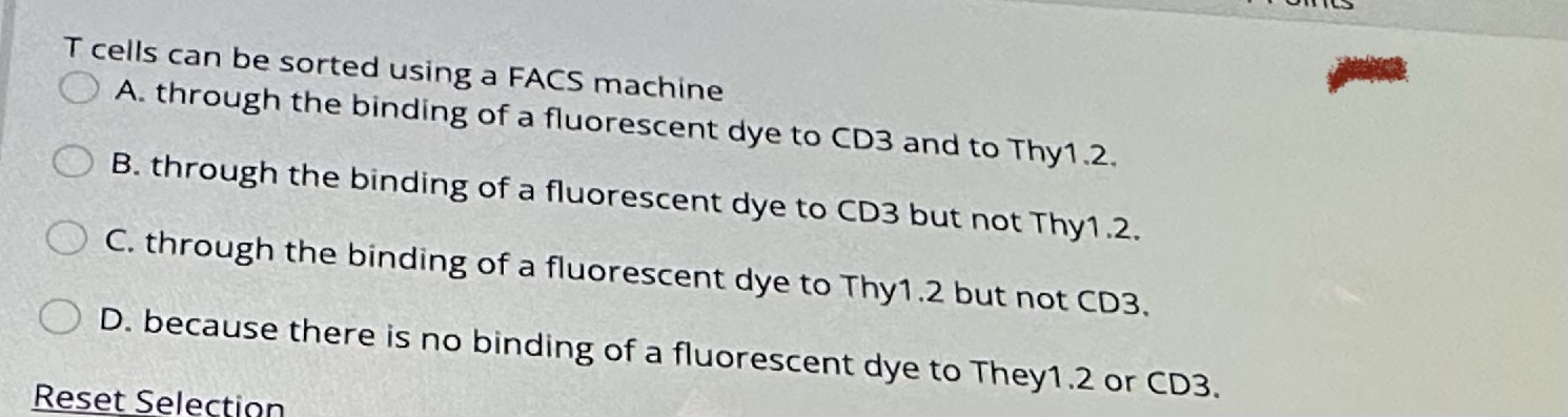 Solved Which stage of the cell cycle would you find the | Chegg.com