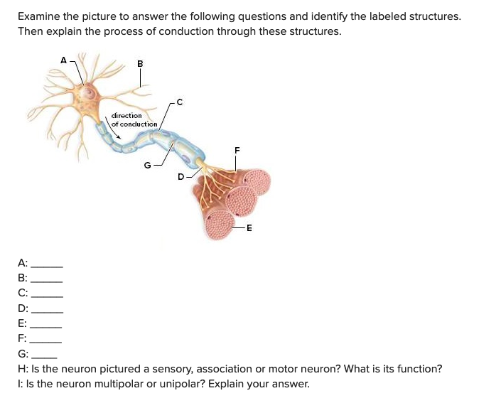 Solved Examine the picture to answer the following questions | Chegg.com