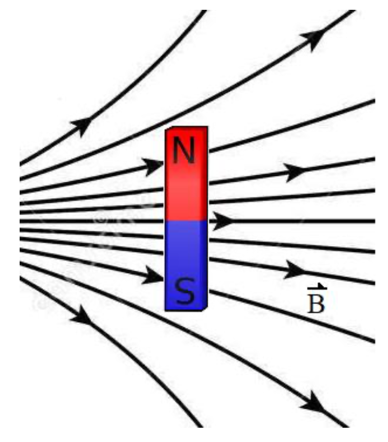 Solved This magnent is in a non-uniform magnetic field. Does | Chegg.com