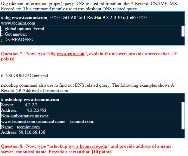 Solved Dig (domain information groper) query DNS related | Chegg.com