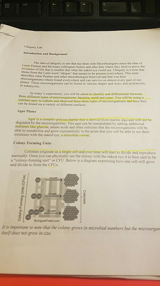 Solved Ctri Ins Del Ubiquity Lab Introduction and | Chegg.com