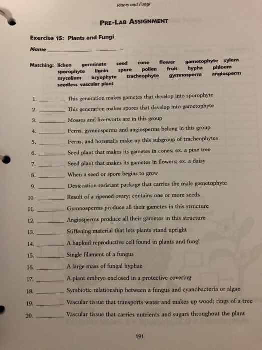 Solved Plants and Fungi PRE-LAB ASSIGNMENT Exercise 15: | Chegg.com