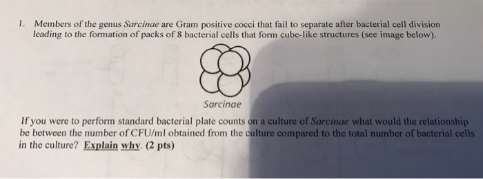 Solved 1. Members of the genus Sarcinae are Gram positive | Chegg.com
