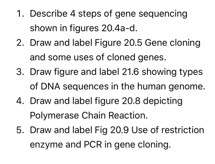 Solved 1. Describe 4 steps of gene sequencing 2. Draw and | Chegg.com