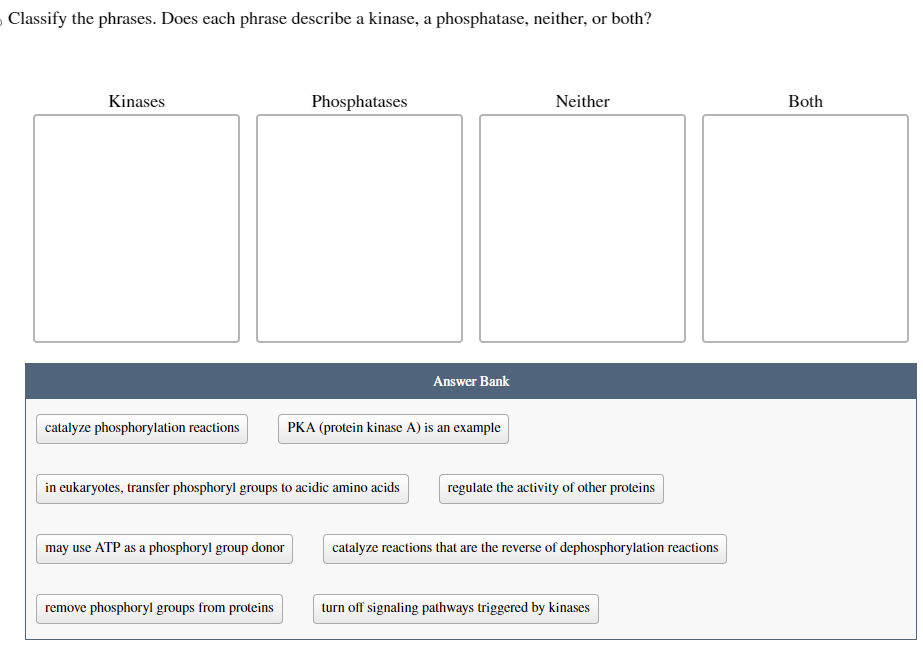 Solved Classify the phrases. Does each phrase describe a | Chegg.com