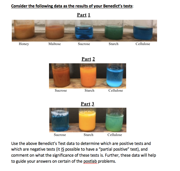Solved Consider the following data as the results of your | Chegg.com