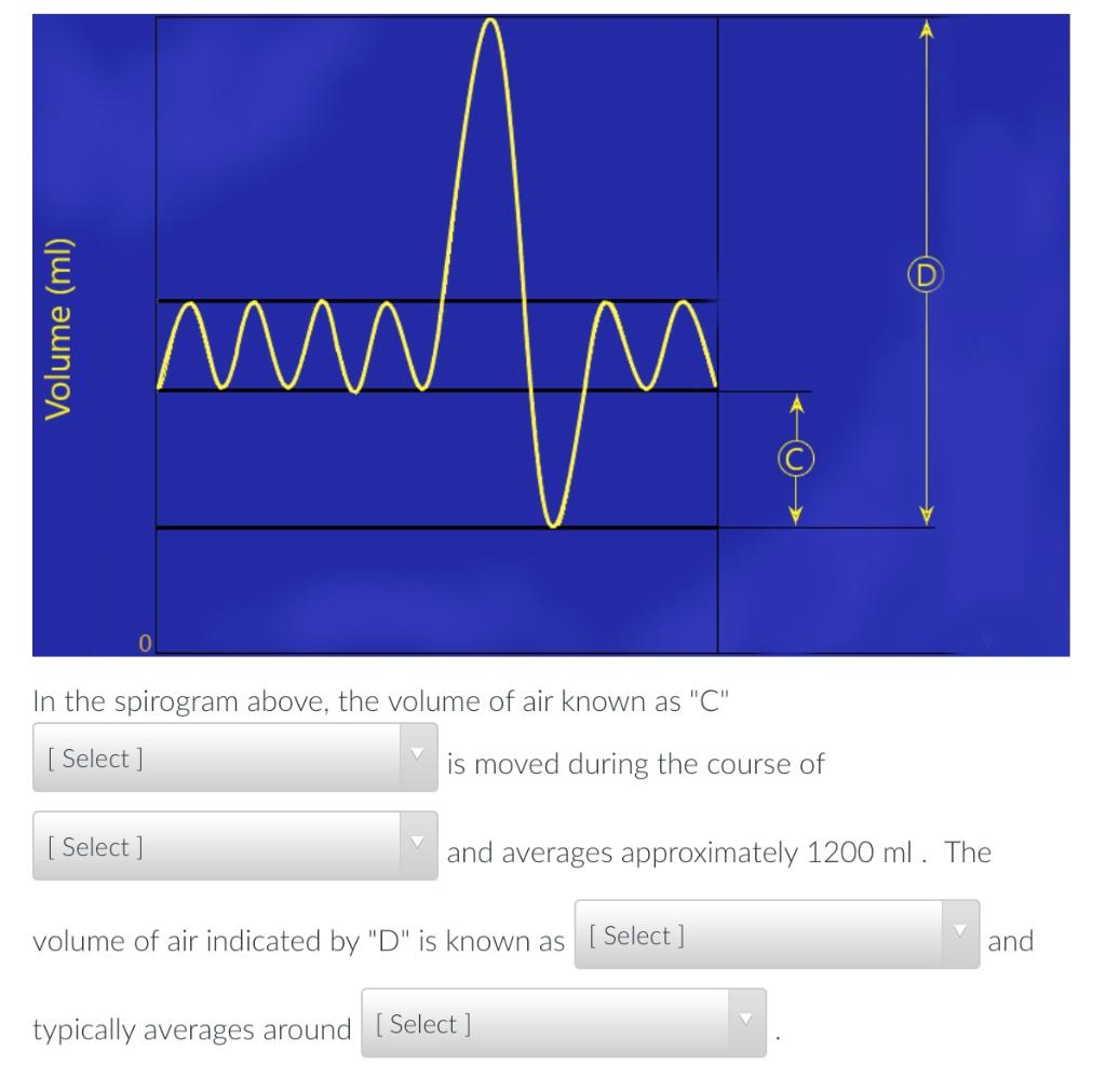 Solved Volume (ml) MW m In the spirogram above, the volume | Chegg.com