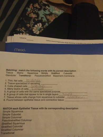 Solved Matching: match the following words with its correct | Chegg.com