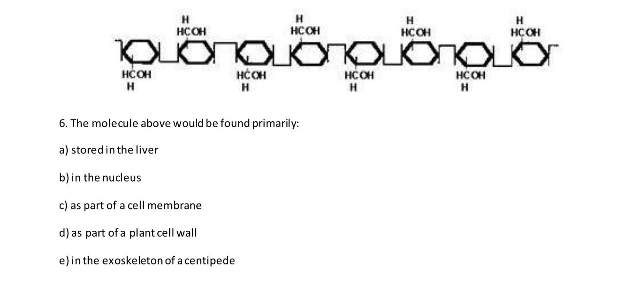 Solved 2. This specific macromoleculeis: a) monosaccharide | Chegg.com