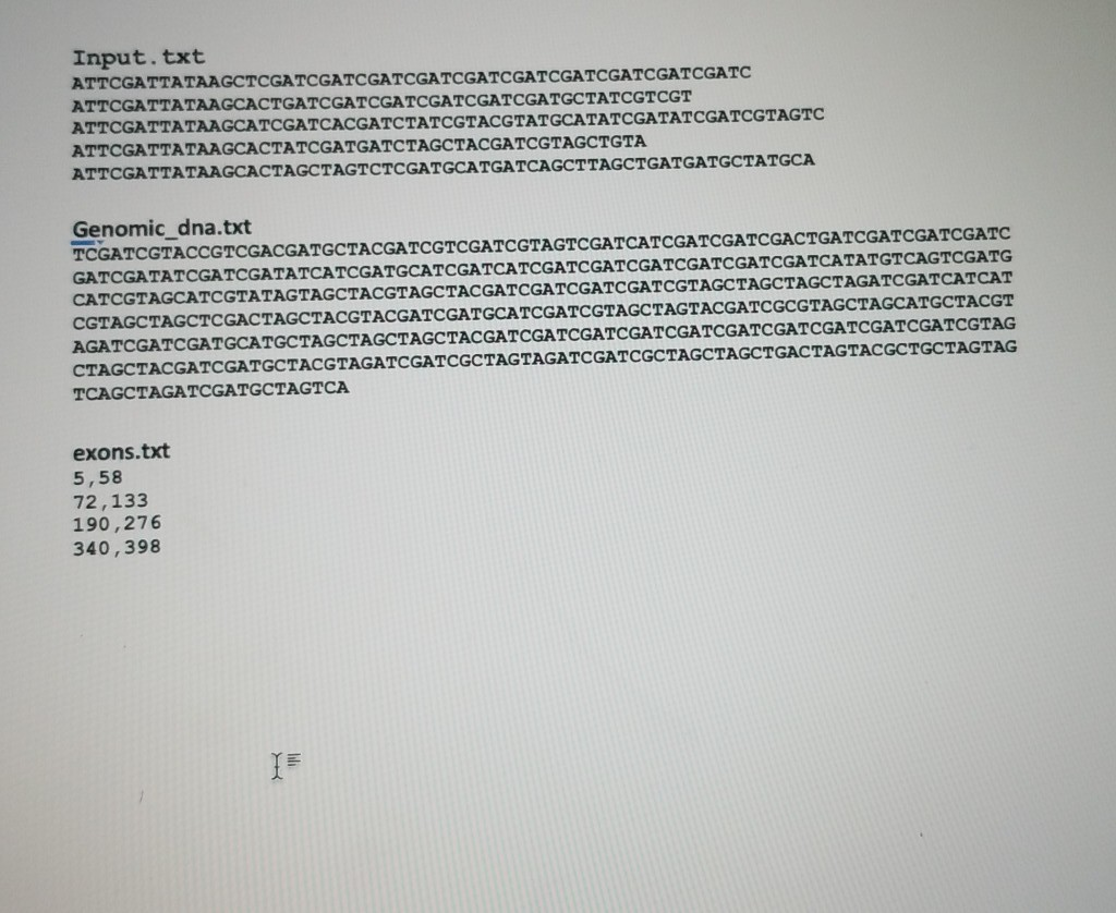 Solved Input.txt | Chegg.com