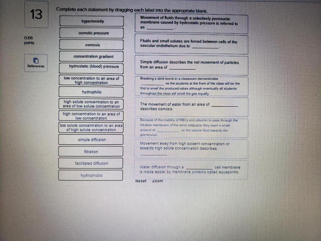 Solved Complete each statement by dragging each label Into | Chegg.com