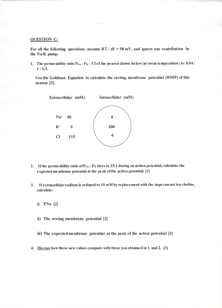 Solved PLEASE ONLY SOLVE Q3 , Q4 and Q5 . PLEASE ONLY DO | Chegg.com