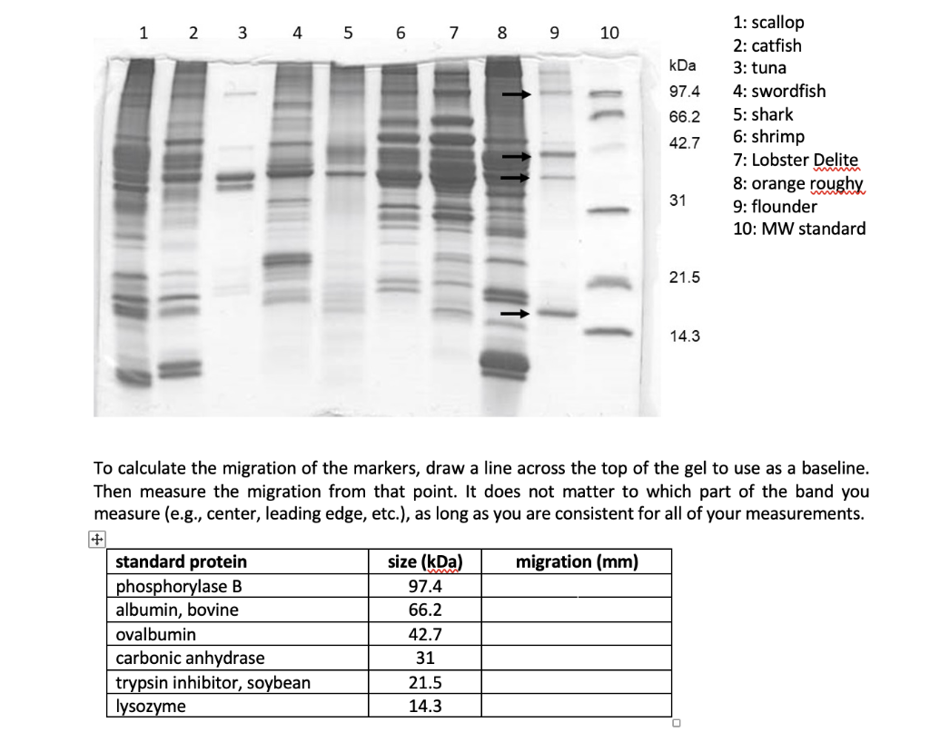 Solved Calculate migration distance of those 6 standard | Chegg.com