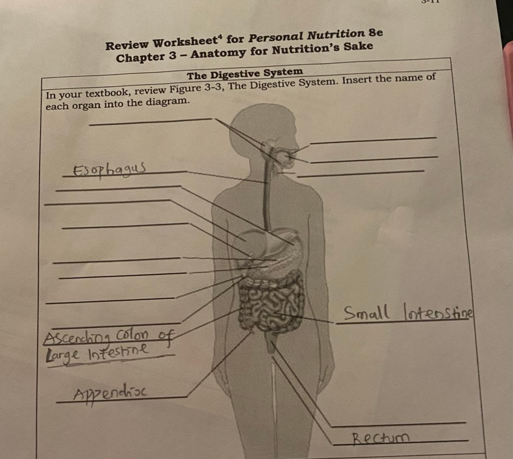 Solved Review Worksheet for Personal Nutrition 8e Chapter 3 | Chegg.com